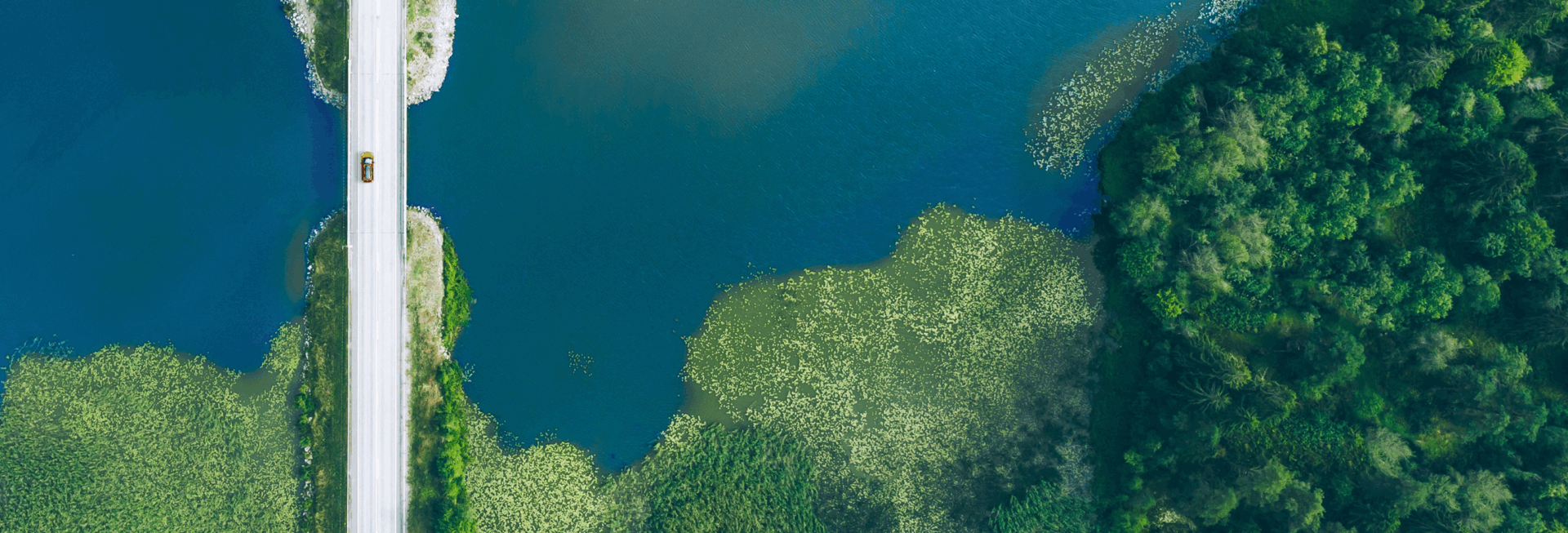 Procurement Trainings - Altesia