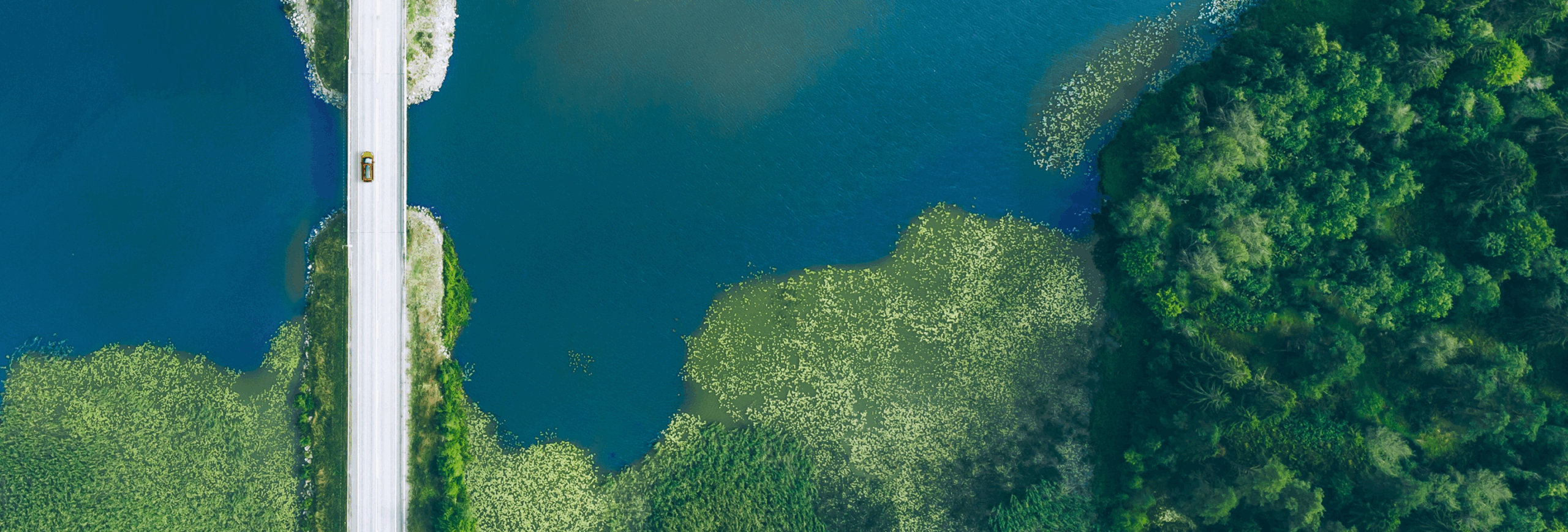 Procurement Trainings - Altesia